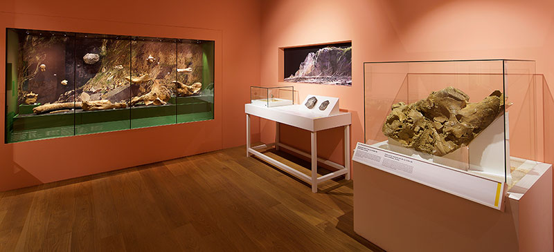 Nissen Richards Studio